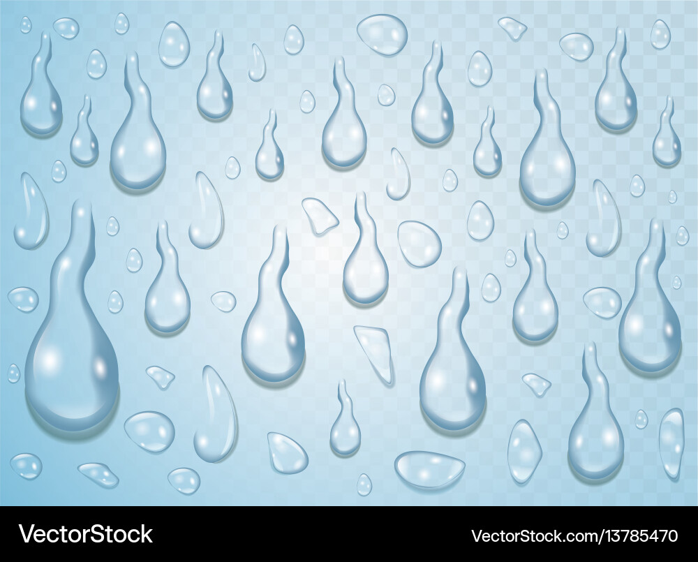 Clear transparent water drops isolated on blue Vector Image
