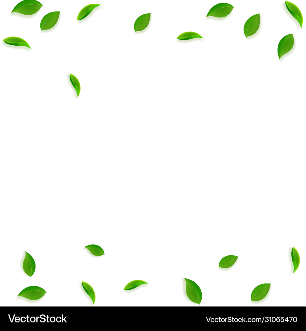 Falling green leaves fresh tea random leaves flyi Vector Image
