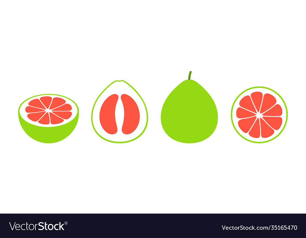 Pomelo Royalty Free Vector Image - VectorStock