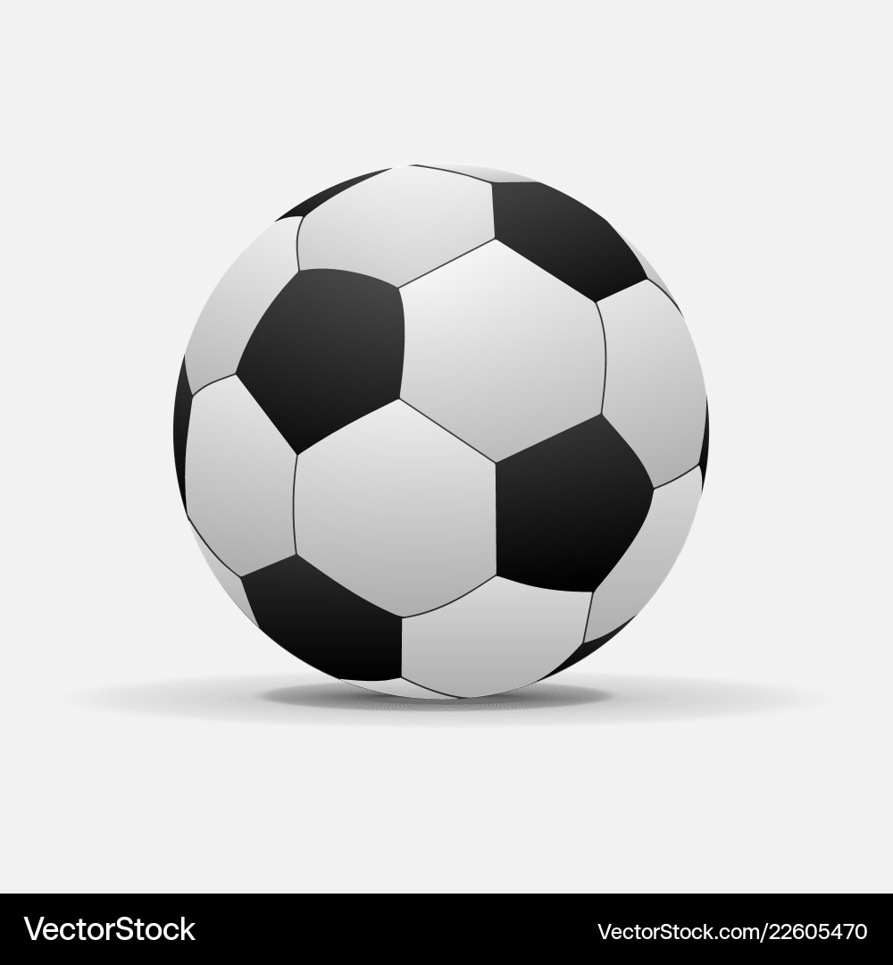 Realistic soccer ball isolated Royalty Free Vector Image