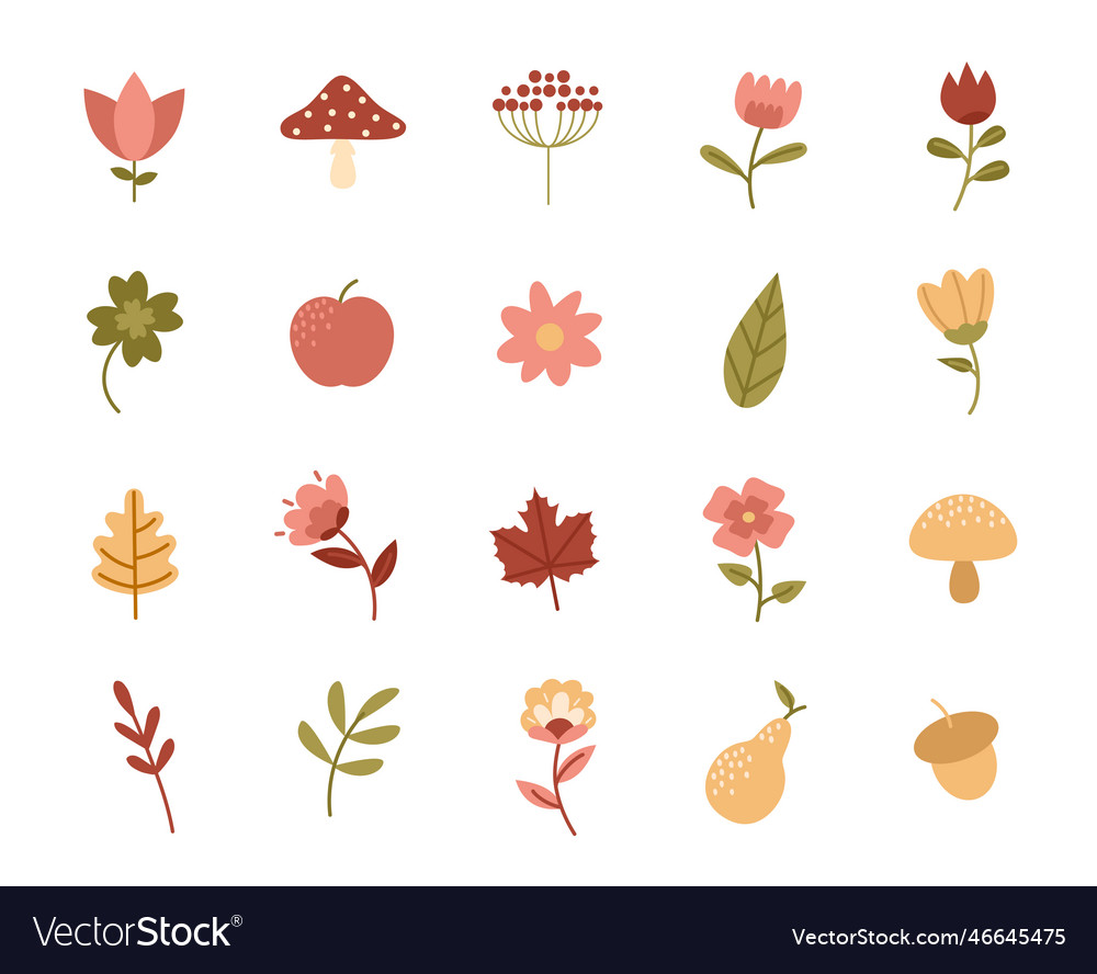 Botanical elements set Royalty Free Vector Image