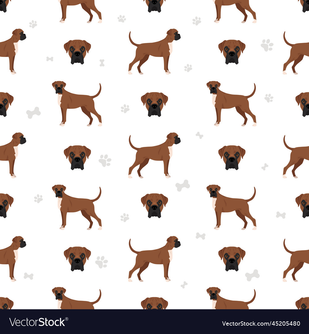 Boxer dog seamless pattern Royalty Free Vector Image