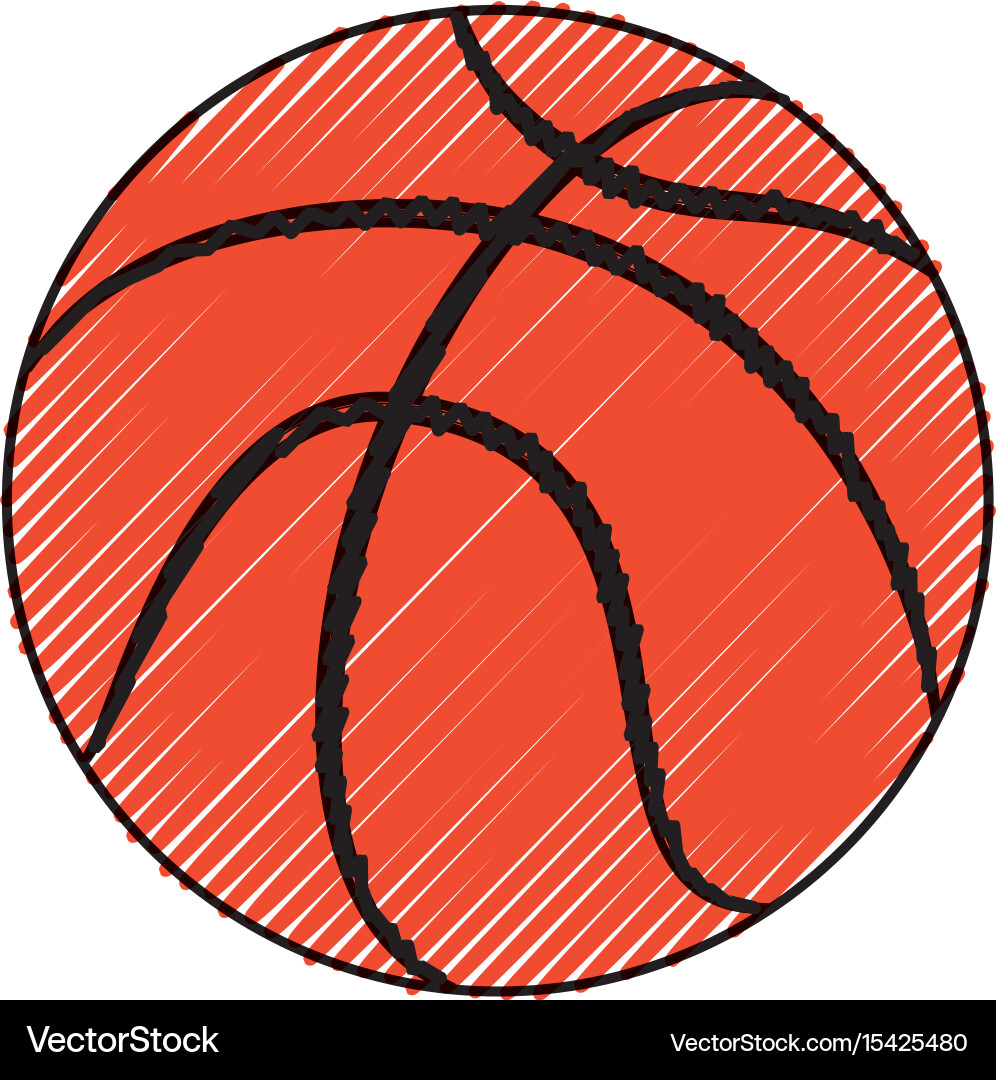 Isolated basket ball Royalty Free Vector Image