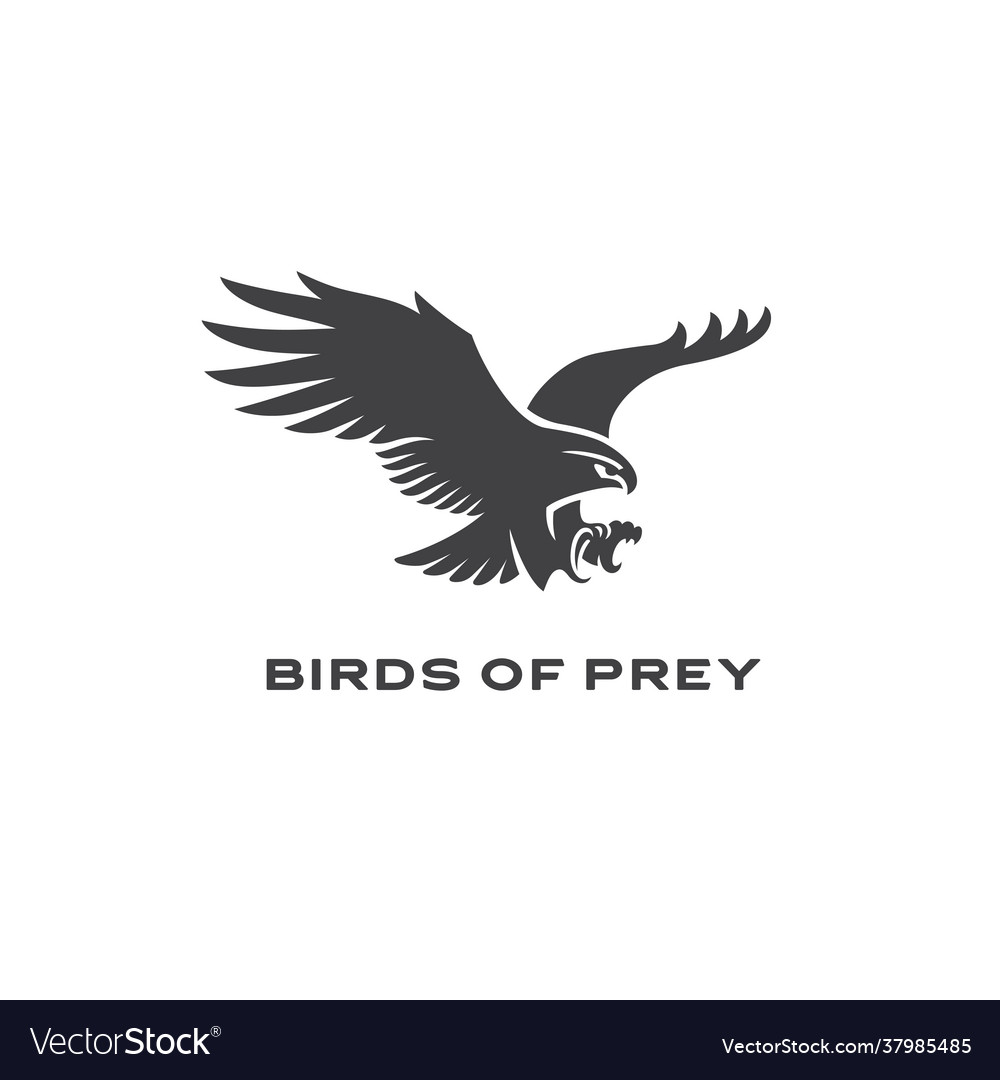 Bird prey logo Royalty Free Vector Image - VectorStock Bird prey logo Royalty Free Vector Image - VectorStock