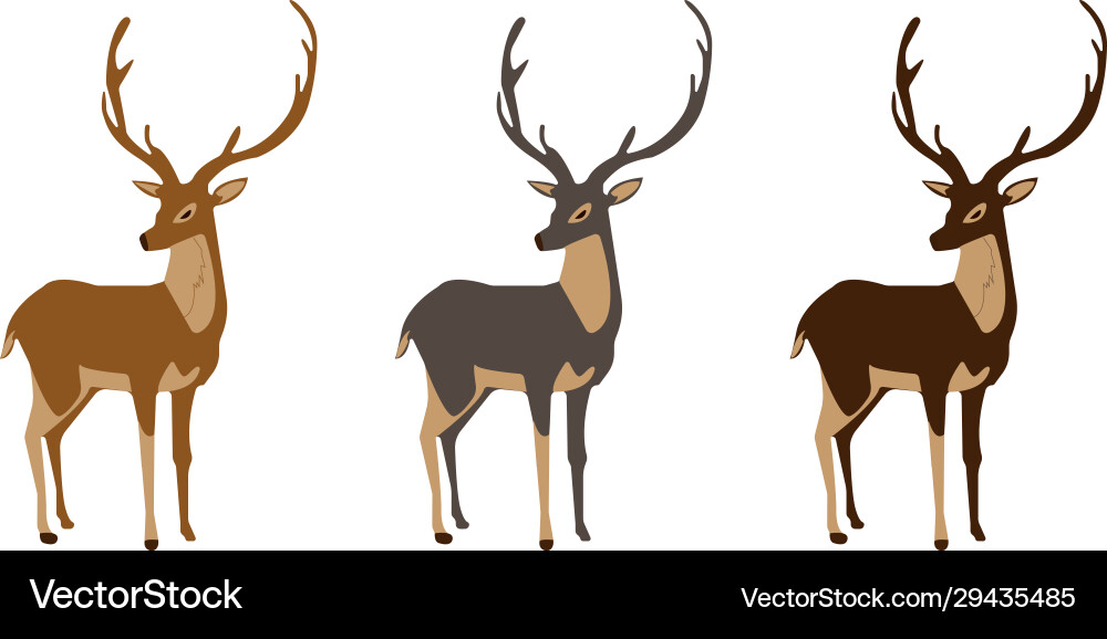 Three spectacular young deer with gorgeous antlers