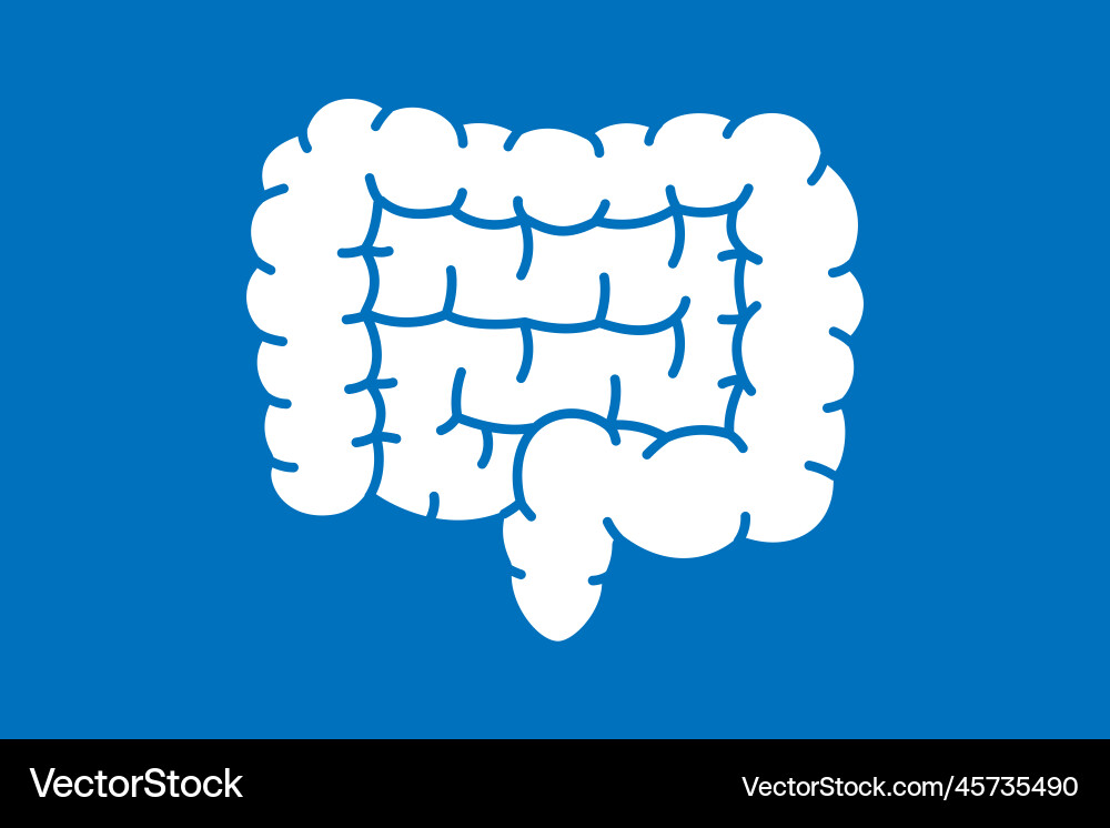 Human intestines symbol isolated on blue Vector Image