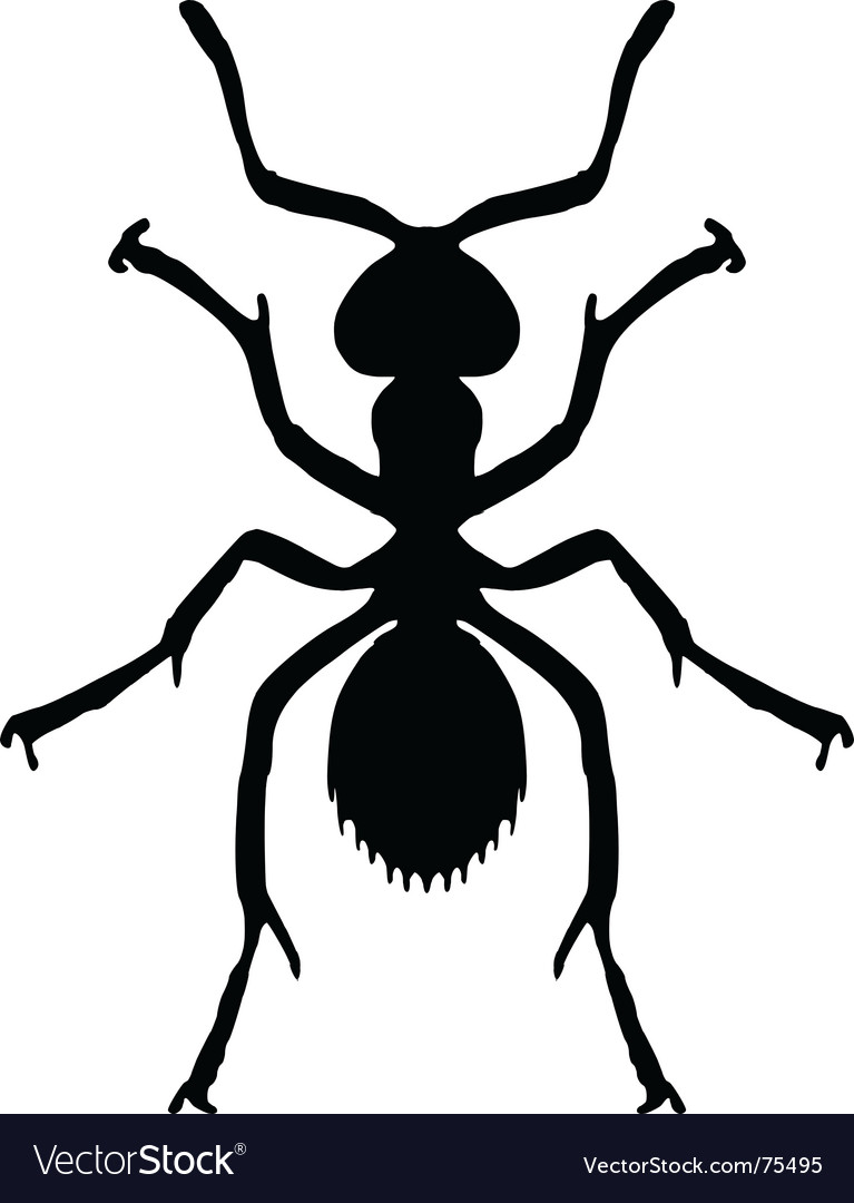 Ant Royalty Free Vector Image - VectorStock