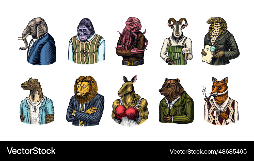 Grizzly bear octopus t-rex dinosaur elephant Vector Image