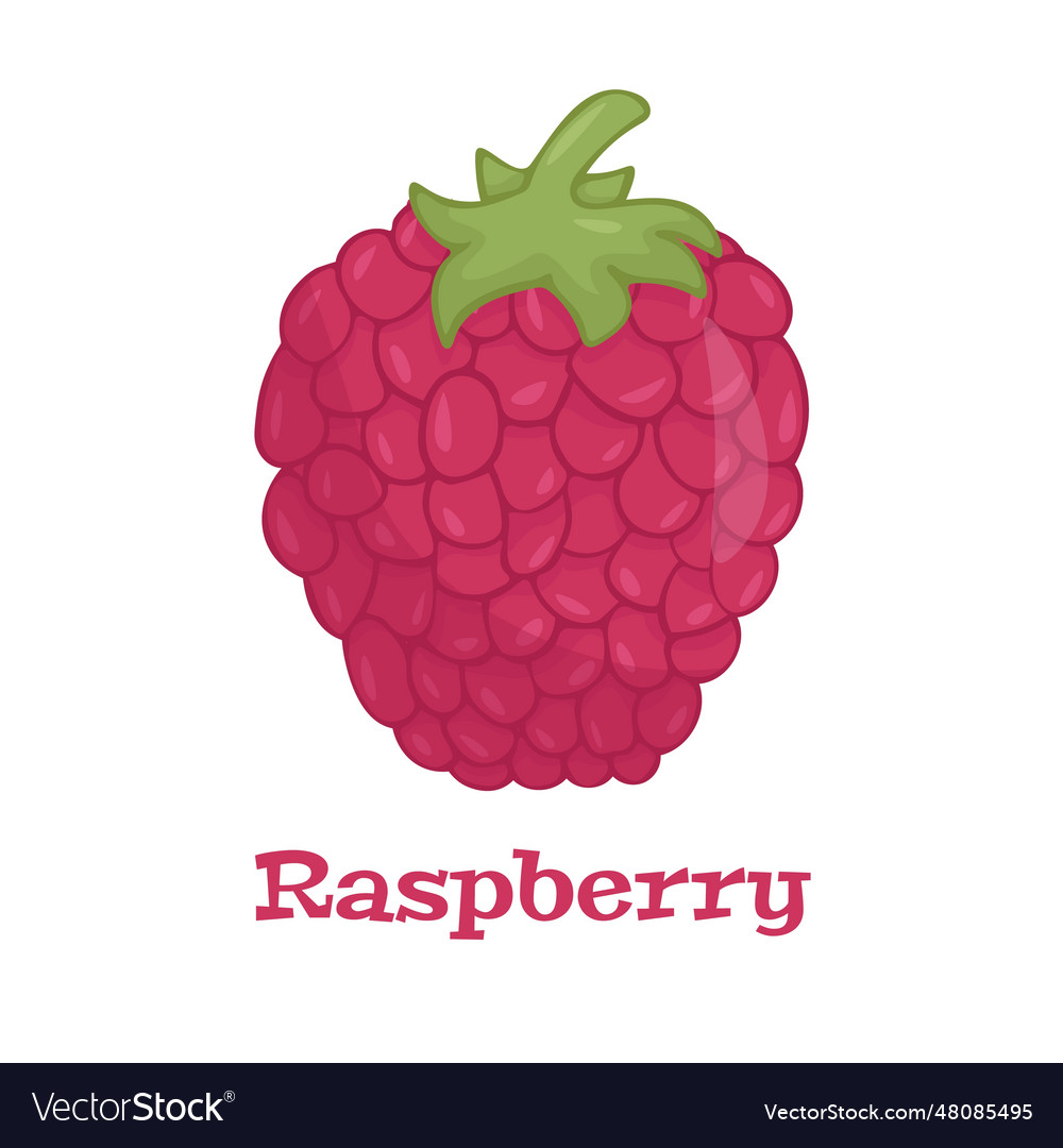 Raspberry with leaf icon raspberry icon Royalty Free Vector