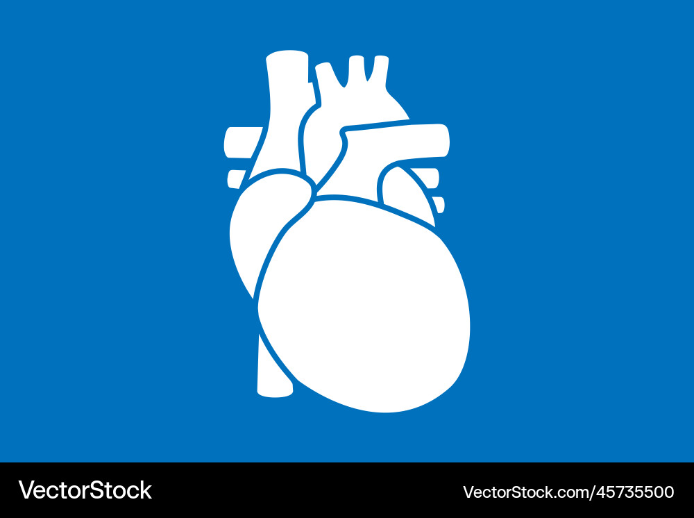 Human heart symbol isolated on blue background Vector Image