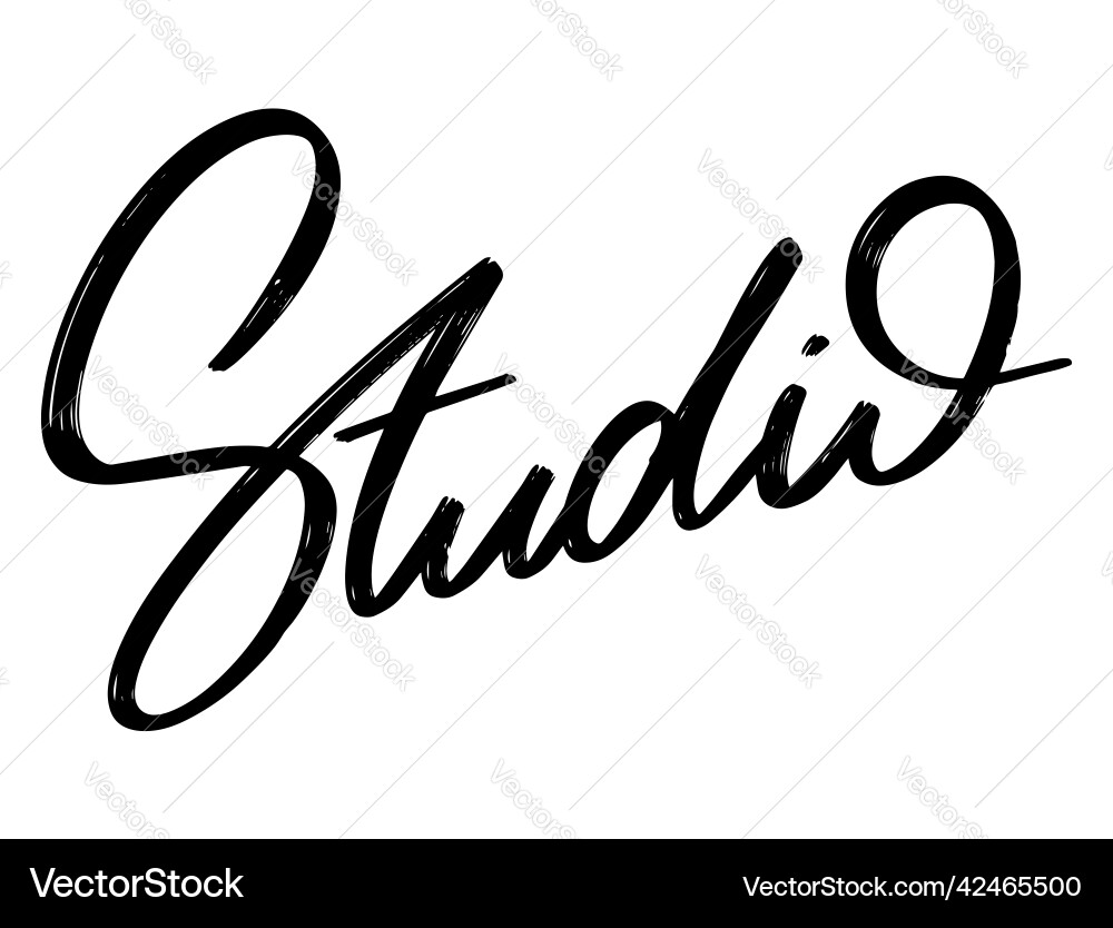 Studio hand drawn lettering isolated template Vector Image
