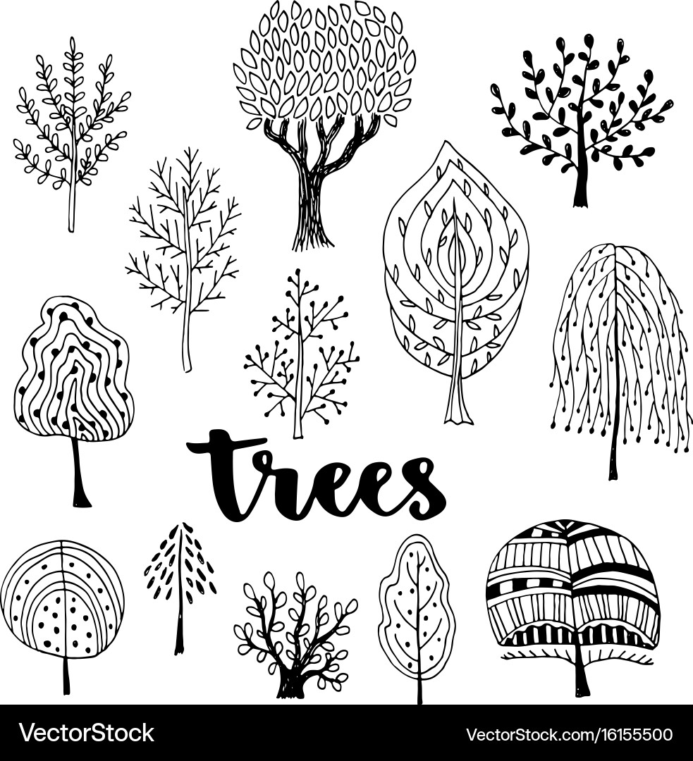 Trees set hand drawn collection of doodle Vector Image
