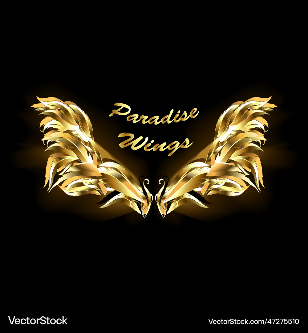 A pair of gradient gold wings Royalty Free Vector Image