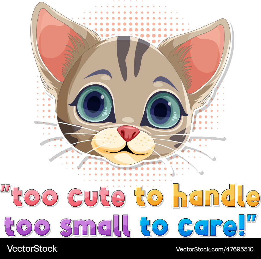 Cute cat with too to handle too small Royalty Free Vector