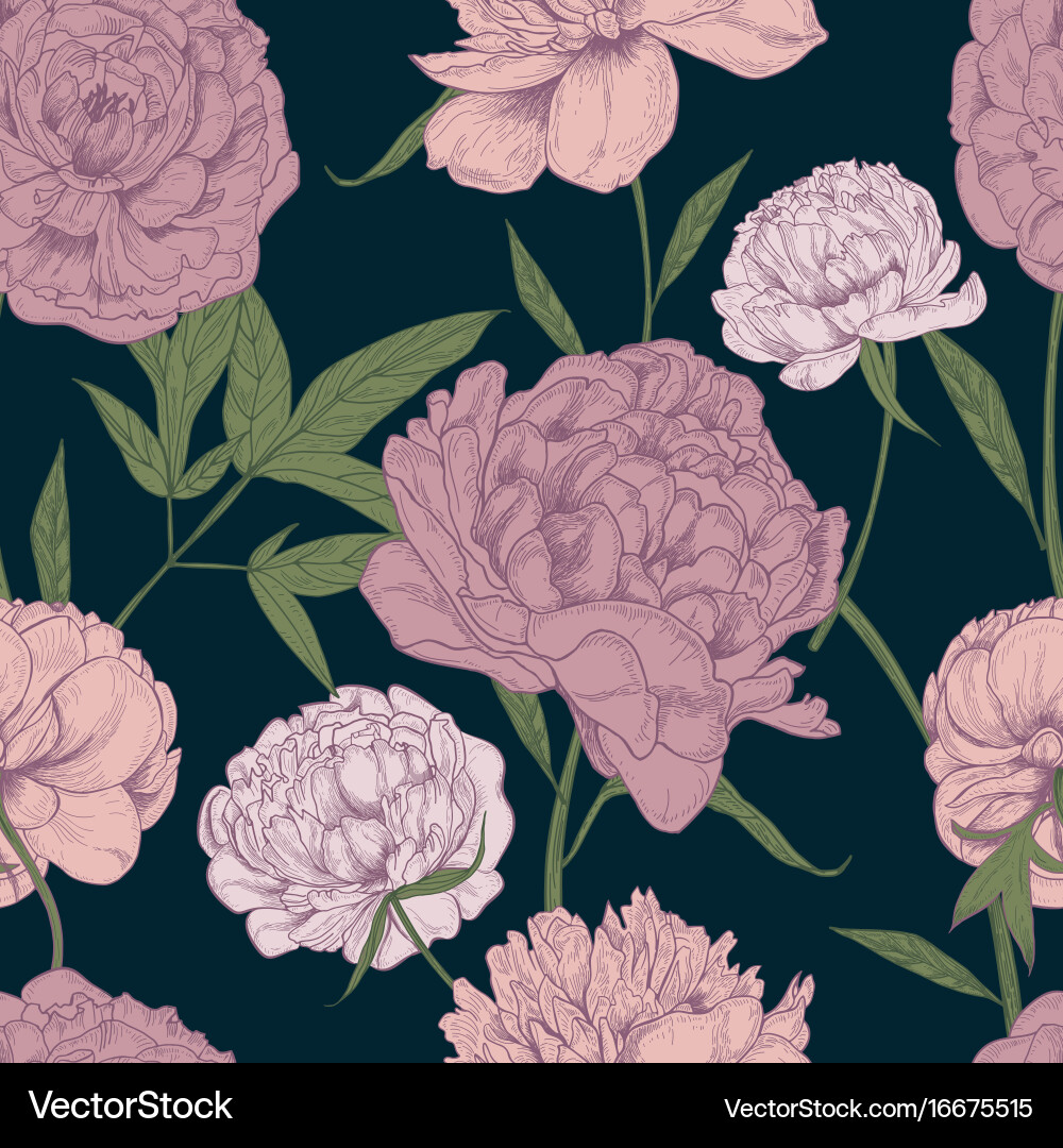 Beautiful detailed peonies seamless pattern hand Vector Image