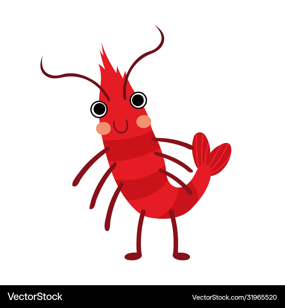 Shrimp animal cartoon character Royalty Free Vector Image