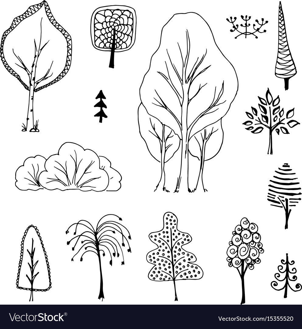 Trees birch bushes tree doodle Royalty Free Vector Image