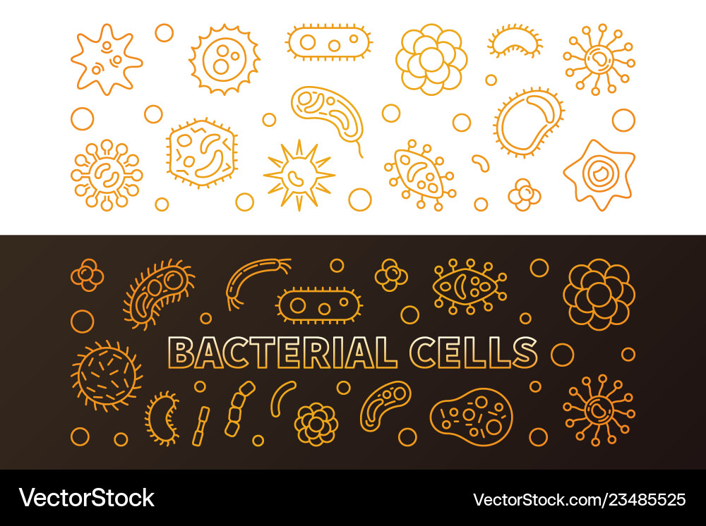 Bacterial cells 2 golden line banners Royalty Free Vector