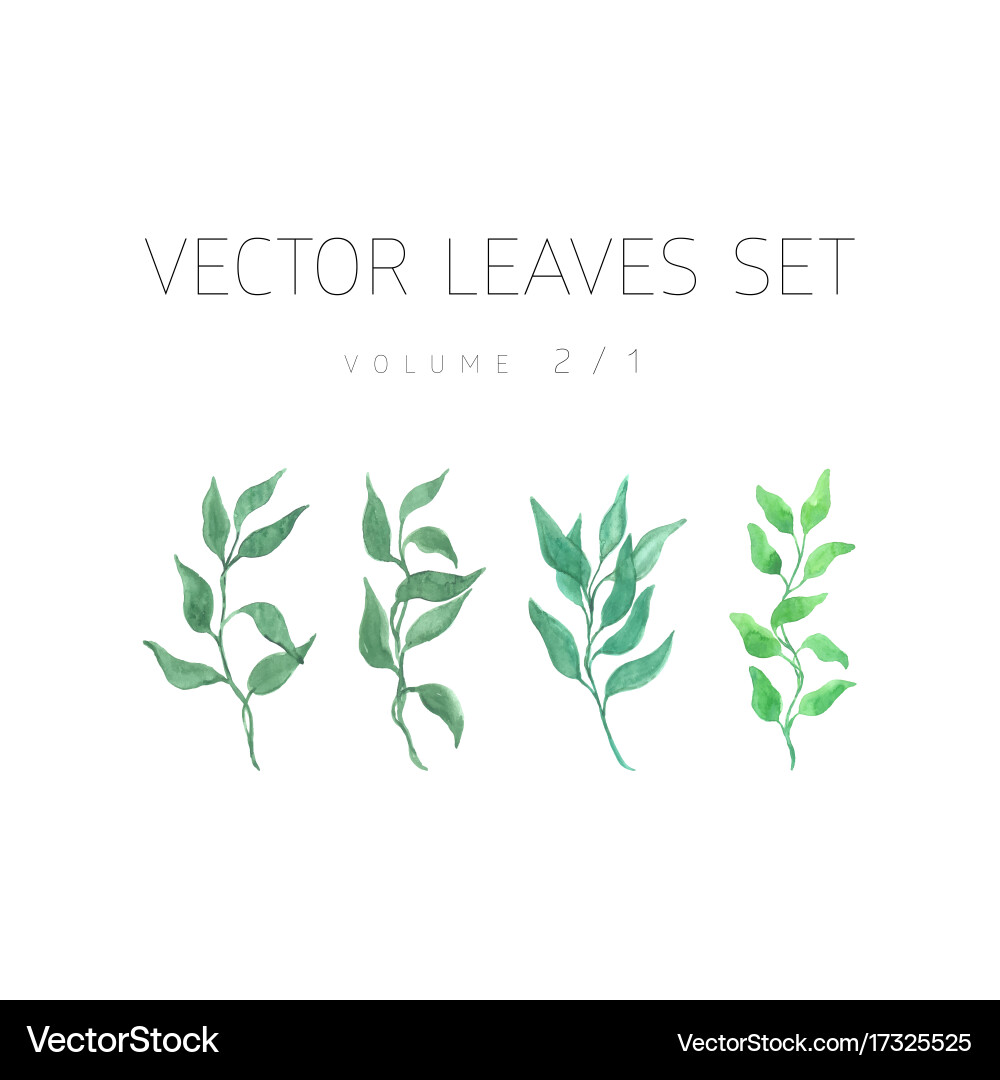Bright watercolor set of leaf Royalty Free Vector Image