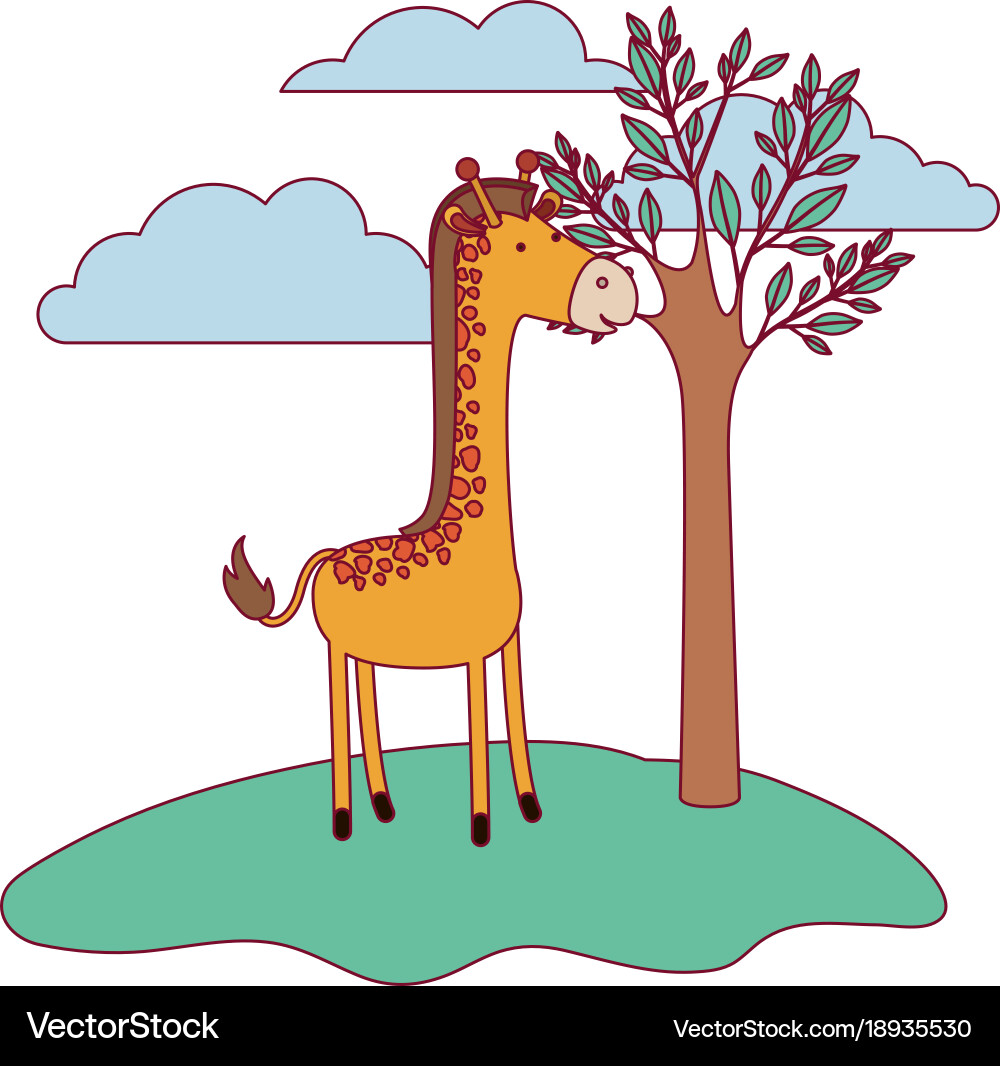 Giraffe cartoon in forest next to trees in Vector Image