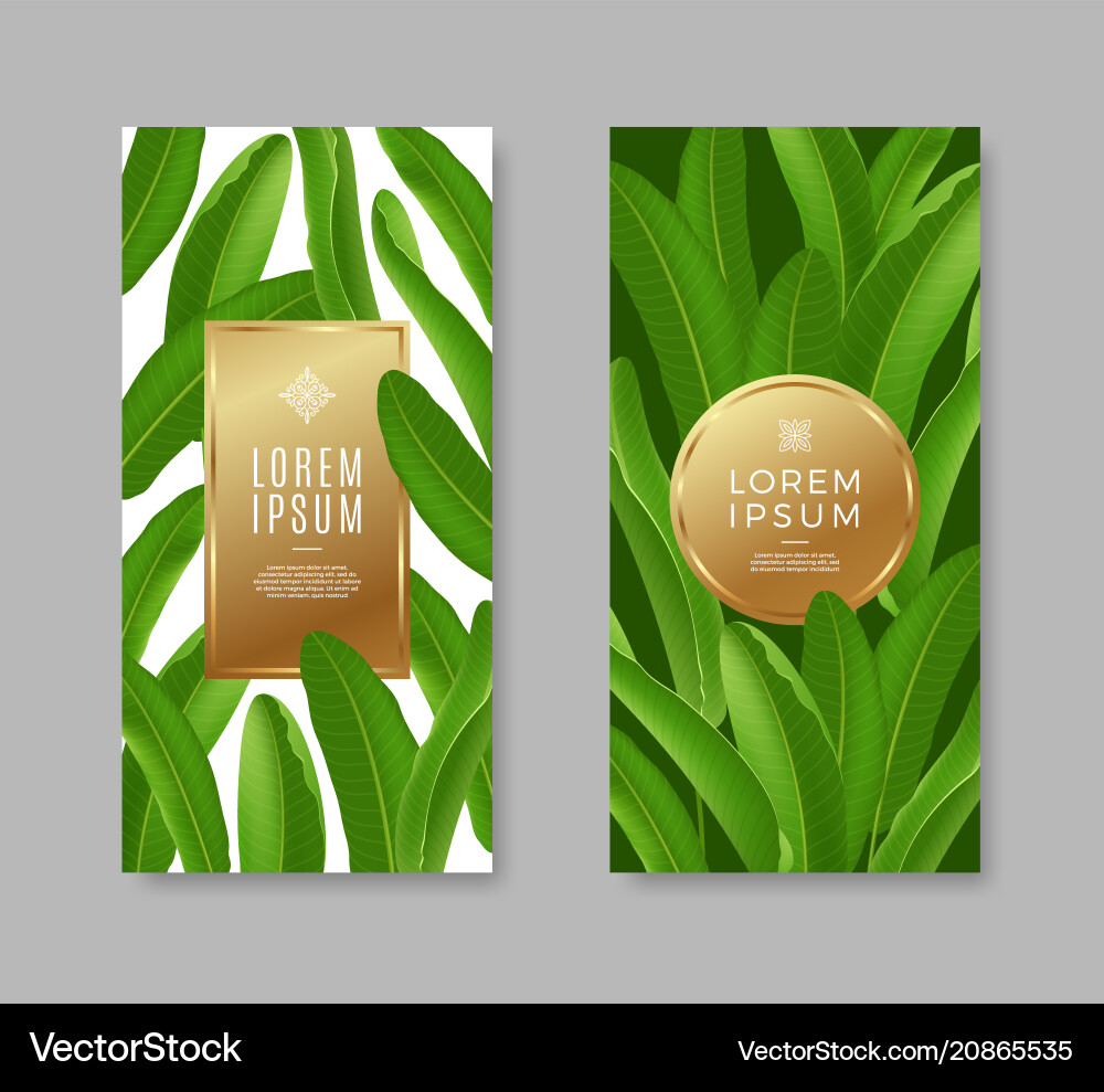 Banners with tropical leaves Royalty Free Vector Image