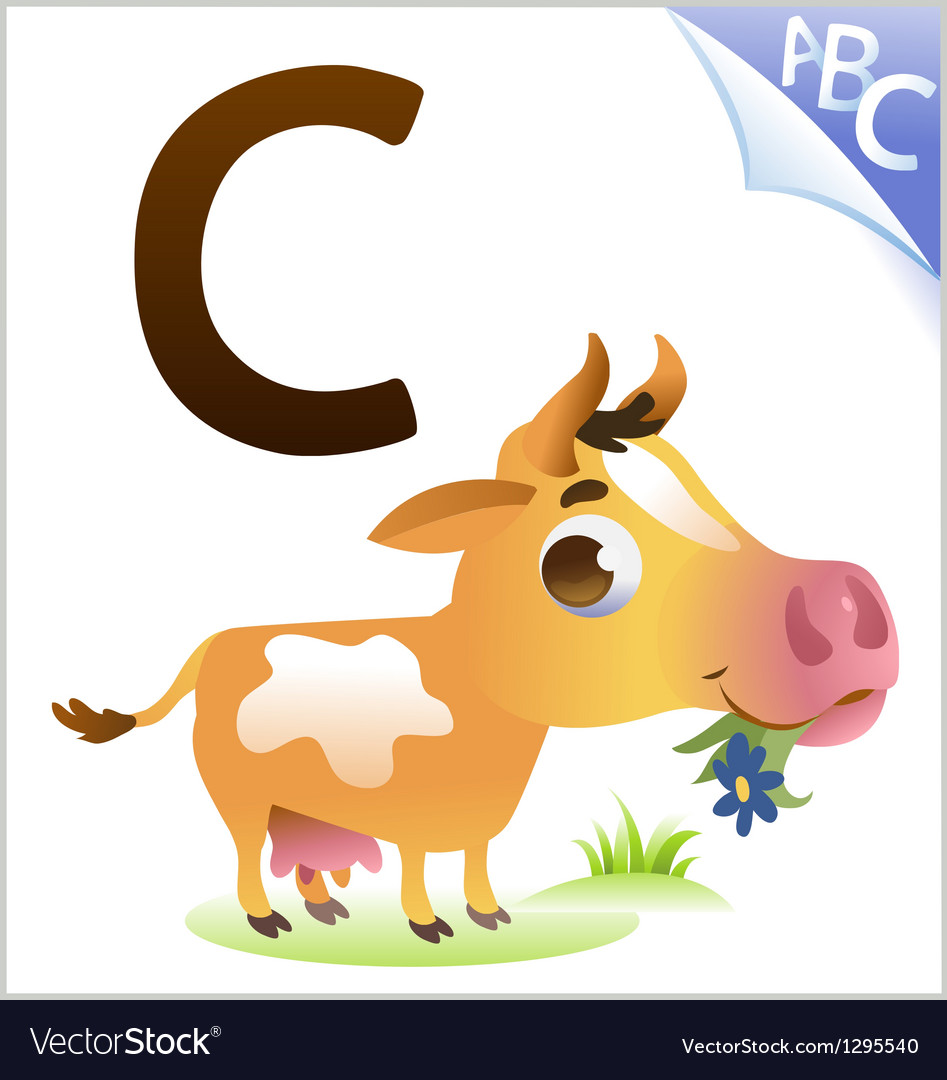 Animal alphabet for kids c for cow Royalty Free Vector Image