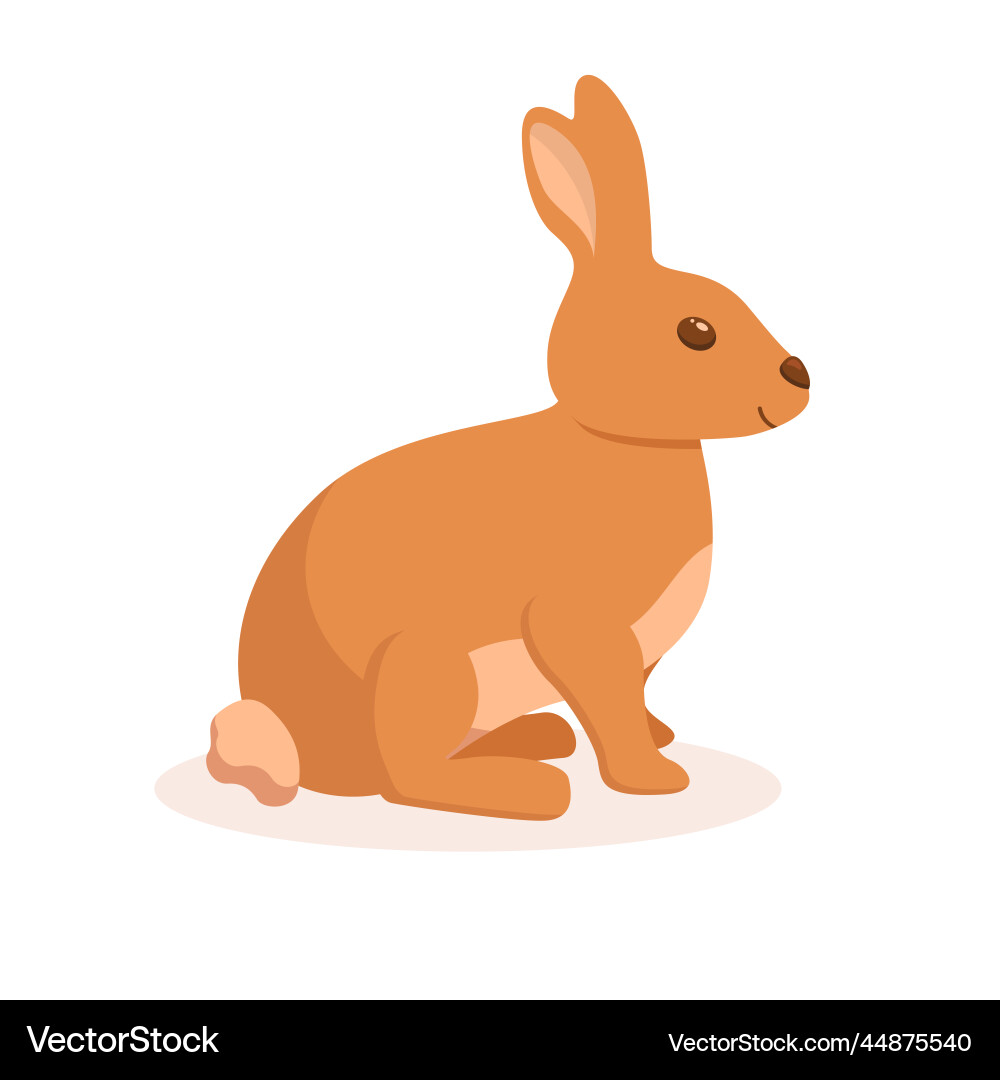 Cute little bunny sitting colorful rabbit Vector Image