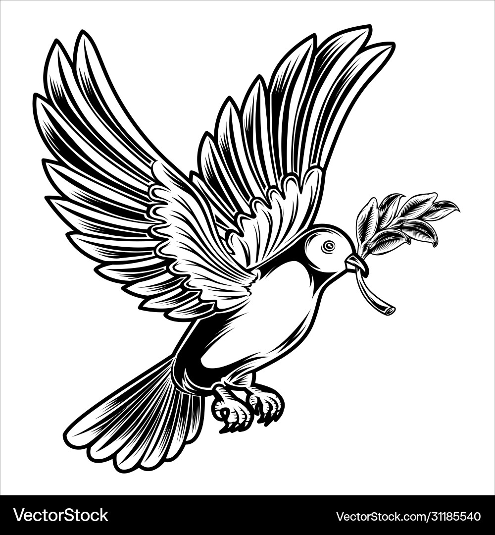Peace pigeons birds annimal drawing Royalty Free Vector