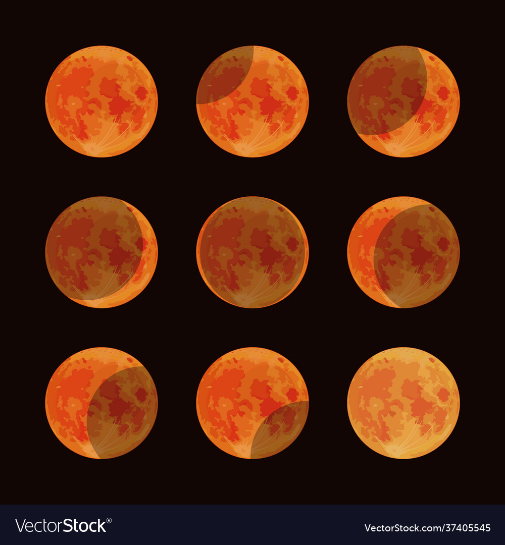 Lunar eclipse phases Royalty Free Vector Image