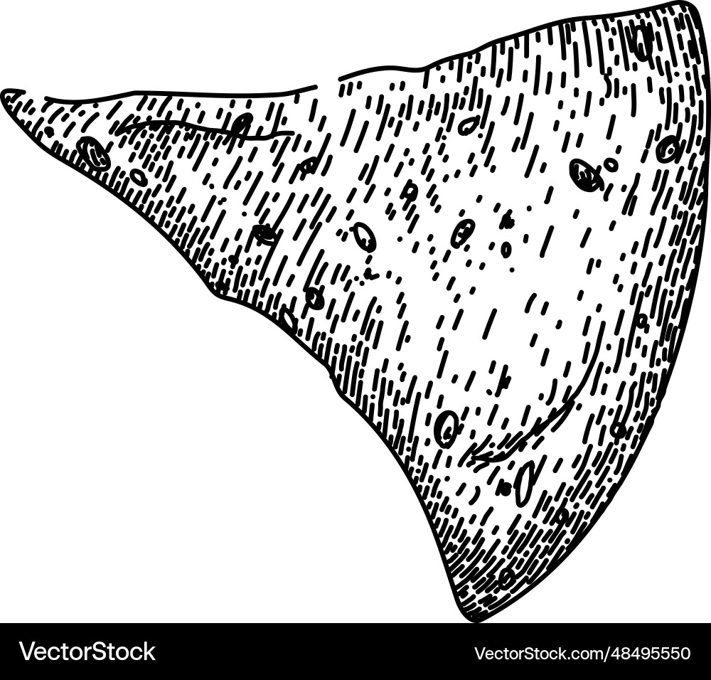 Mexican nachos sketch hand drawn Royalty Free Vector Image