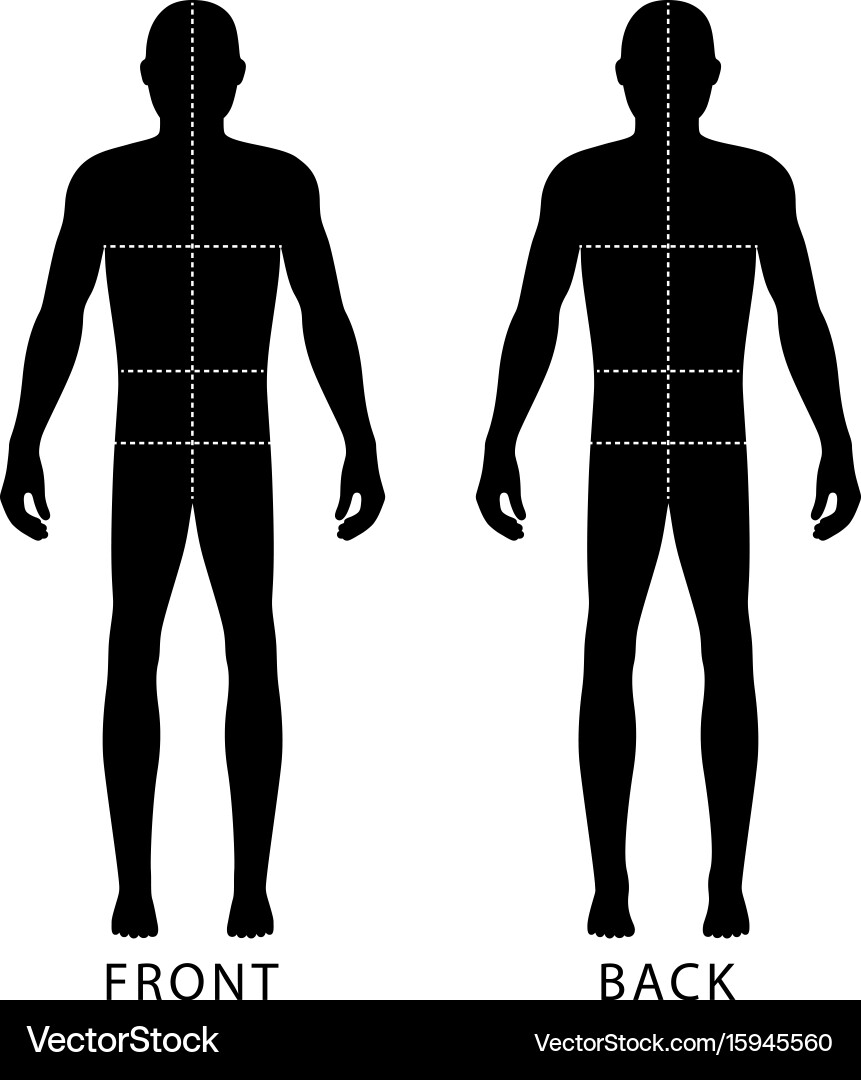 Fashion man figure Royalty Free Vector Image - VectorStock