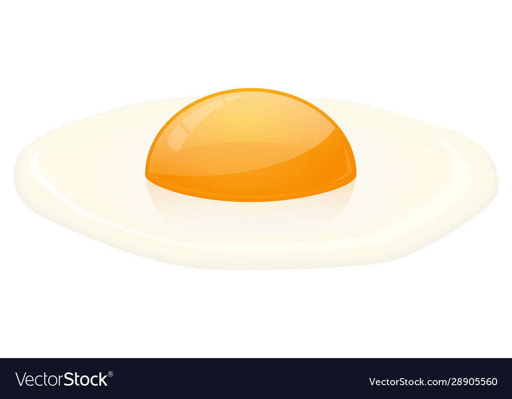 Raw broken egg egg yolk and egg white Royalty Free Vector