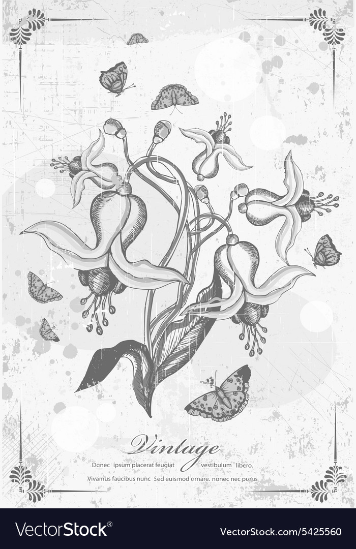 Vintage floral Royalty Free Vector Image - VectorStock