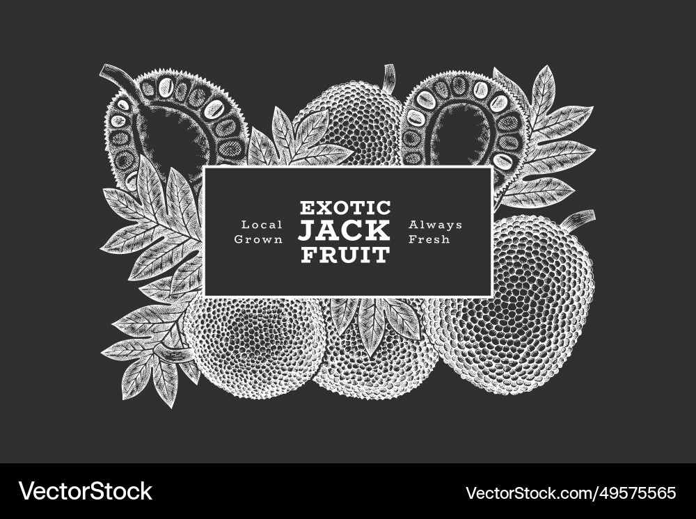 Hand drawn sketch style jackfruit banner organic Vector Image