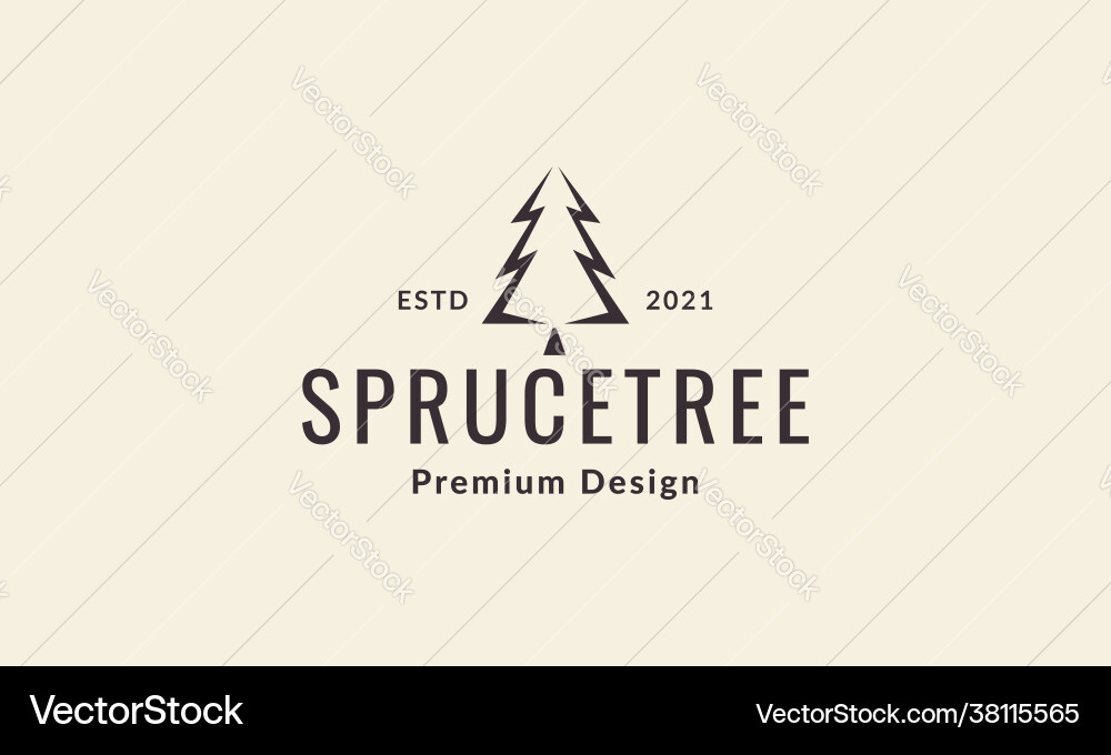 Hipster pine or spruce tree logo symbol icon Vector Image