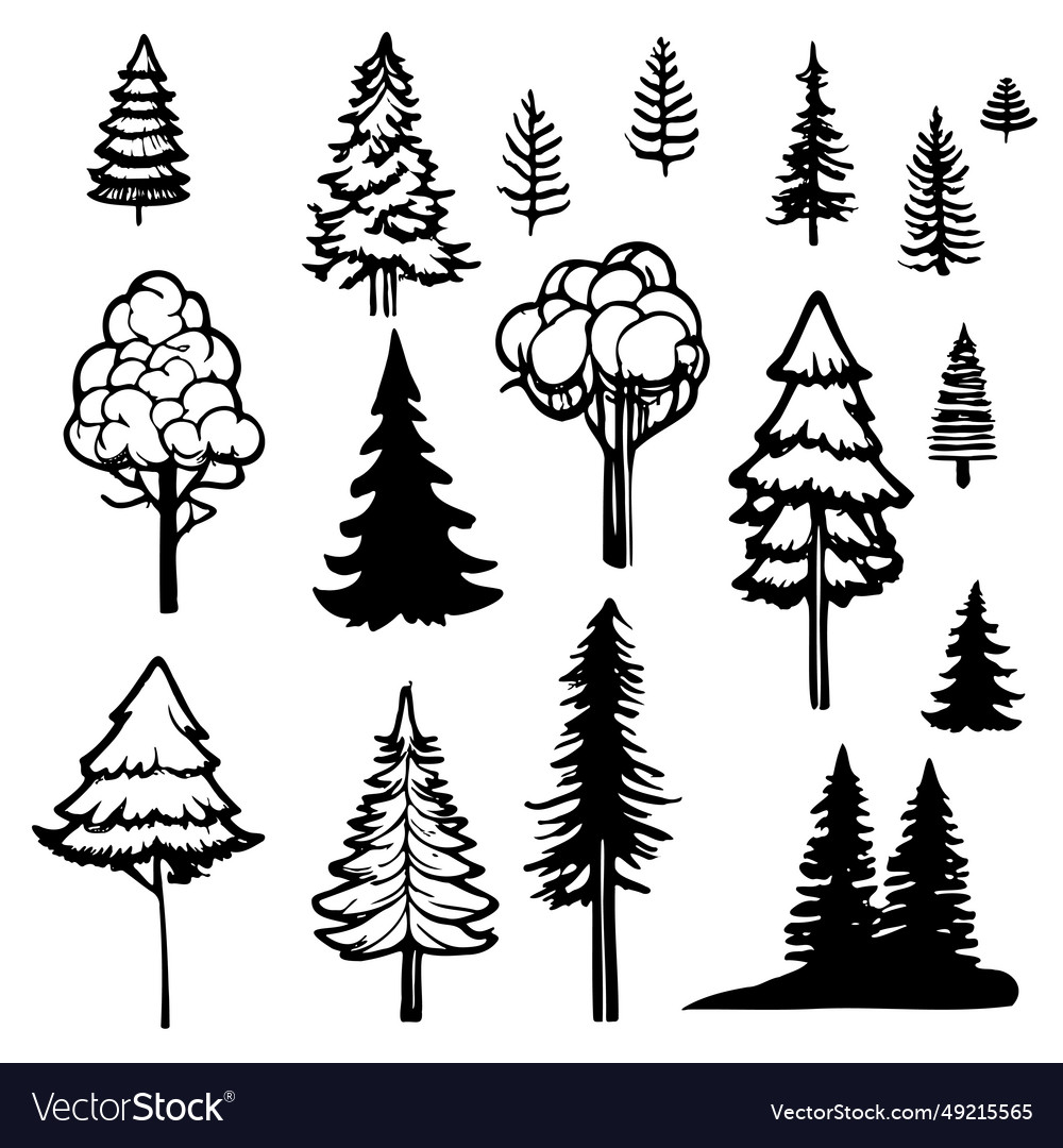 Sketch drawing trees for landscape design Vector Image