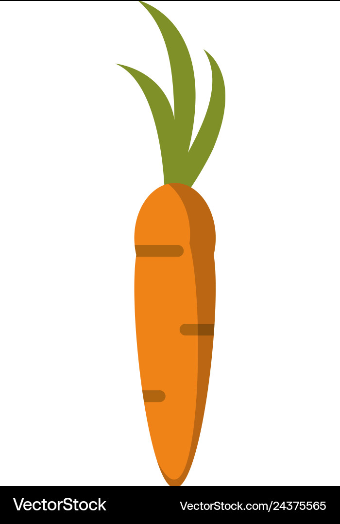 Vegetable carrot food symbol Royalty Free Vector Image