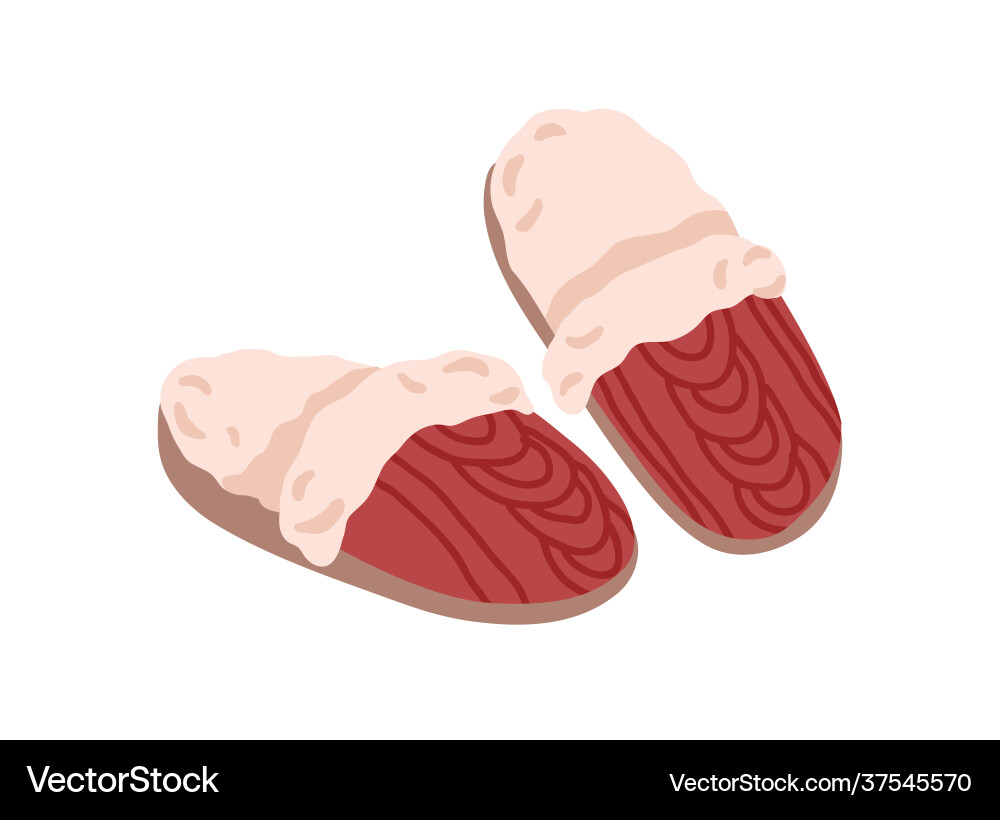 Pair home winter slippers with knitted top Vector Image