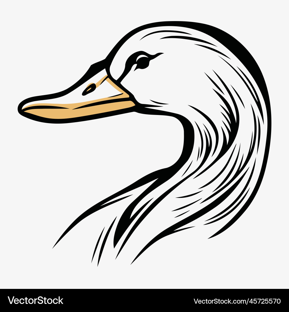 Waterfowl duck animal head Royalty Free Vector Image