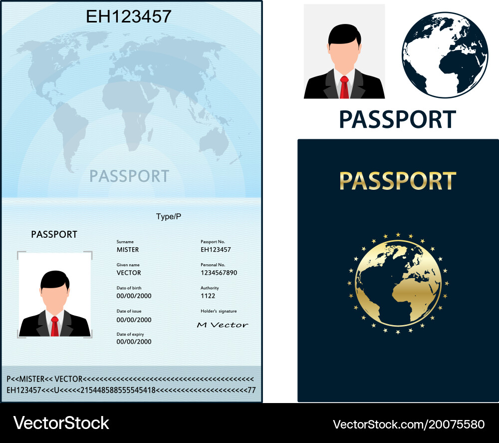 Passport with biometric data identification Vector Image