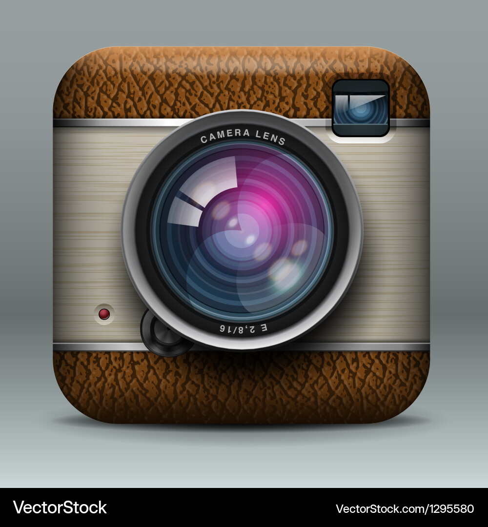 Vintage professional photo camera icon Royalty Free Vector