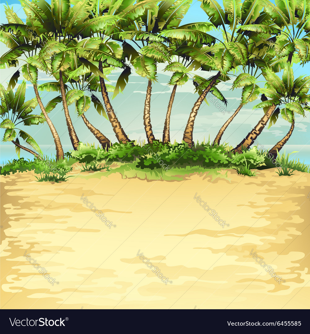 Beach with tropical palm Royalty Free Vector Image