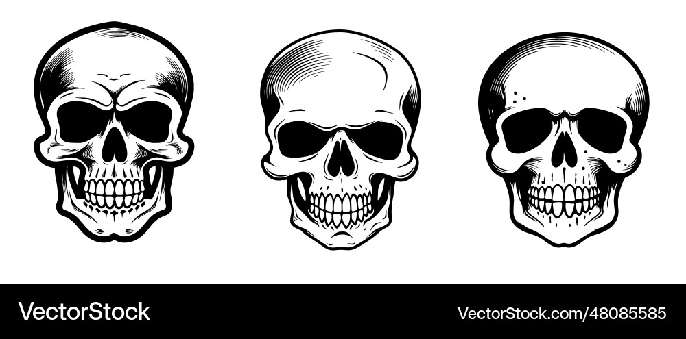 Skulls set sketch hand drawn death day Royalty Free Vector