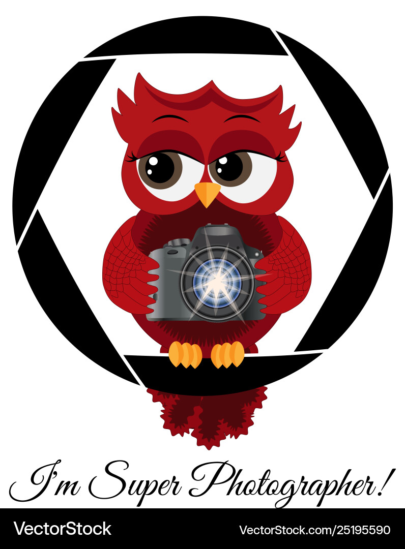 A beautiful cartoon red owl with camera sits Vector Image