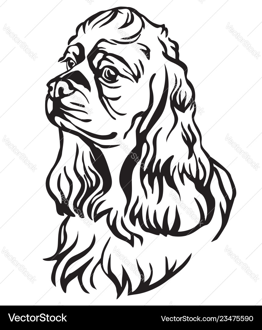 Decorative portrait dog american cocker Royalty Free Vector