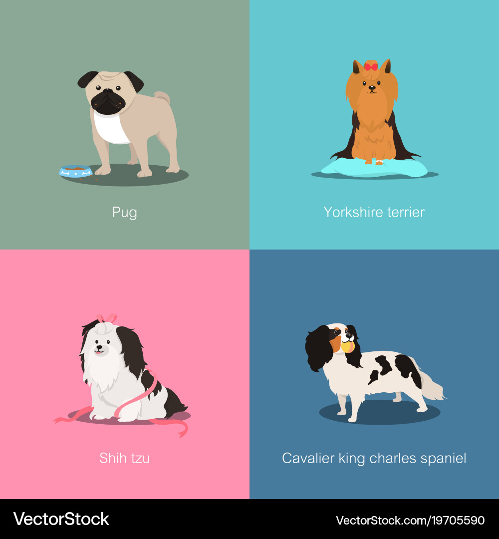 Set of dogs different breed Royalty Free Vector Image