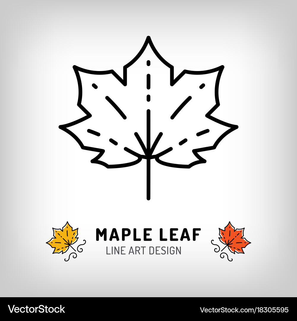 Maple leaf icon autumn leaves canada symbol Vector Image