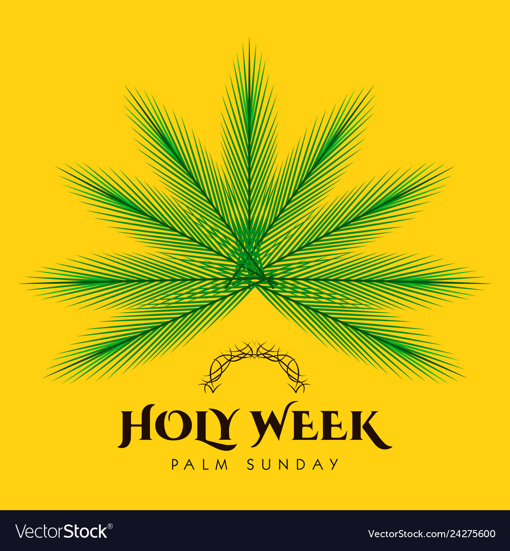 Holy week banner with a palm leaves Royalty Free Vector