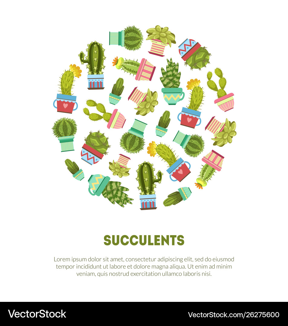 Succulents banner template with place for text Vector Image
