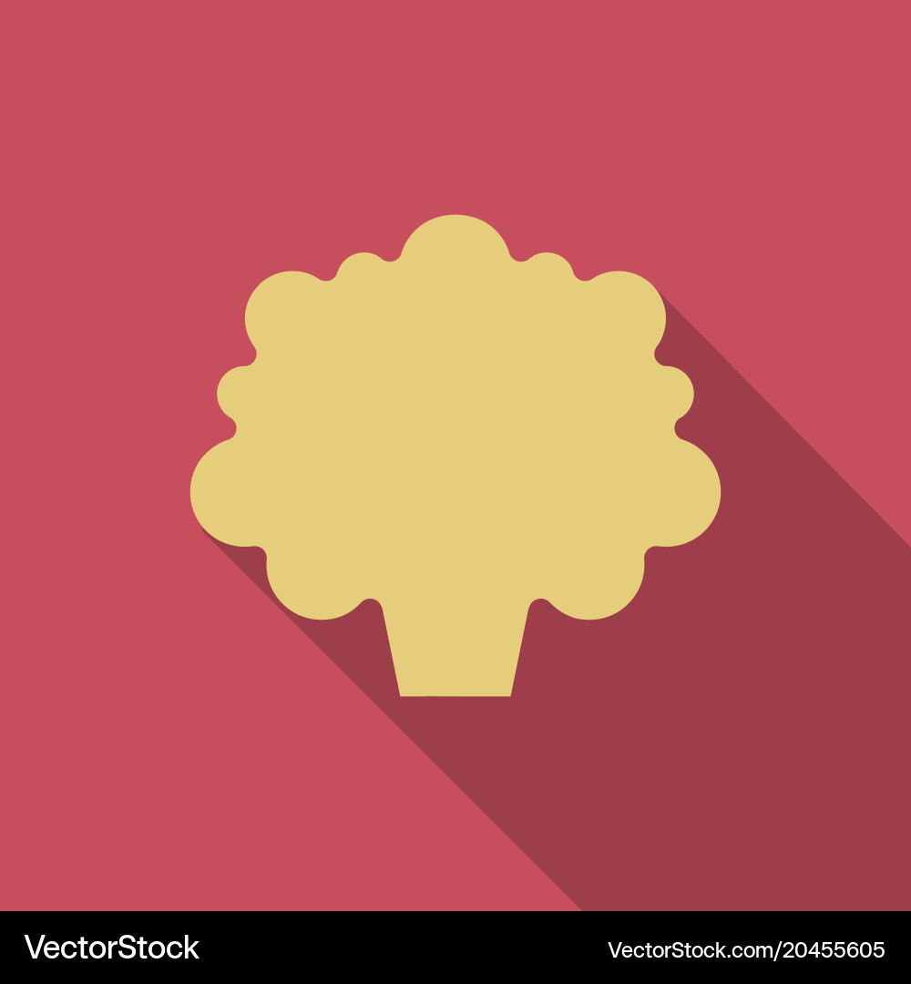 Cauliflower flat icon colorful logo Royalty Free Vector